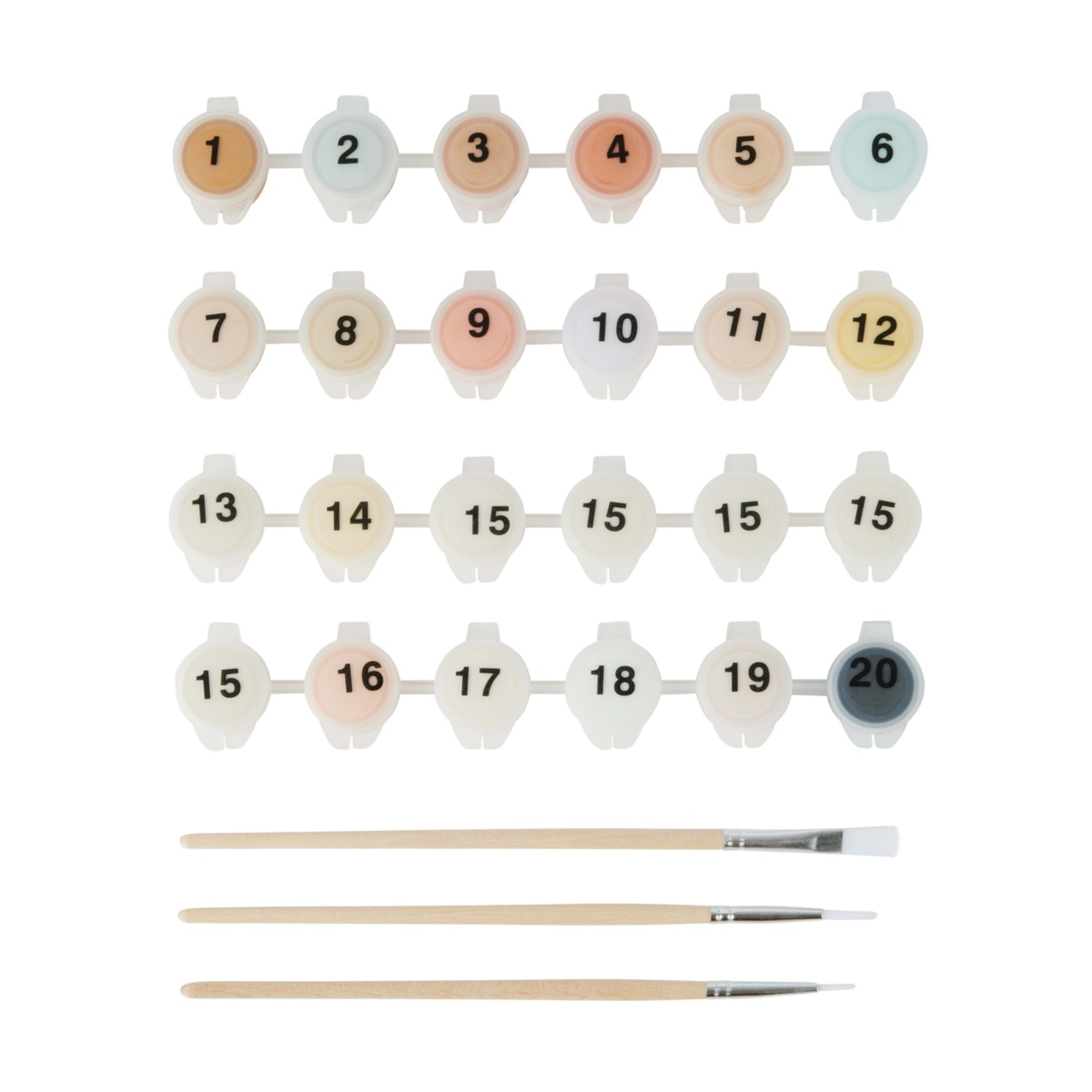 Paint By Numbers - Shell - Kmart