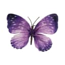8 Pack Artificial Butterflies - Kmart