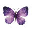 8 Pack Artificial Butterflies - Kmart