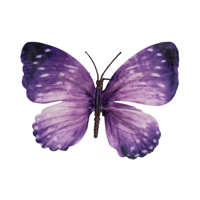 8 Pack Artificial Butterflies - Kmart