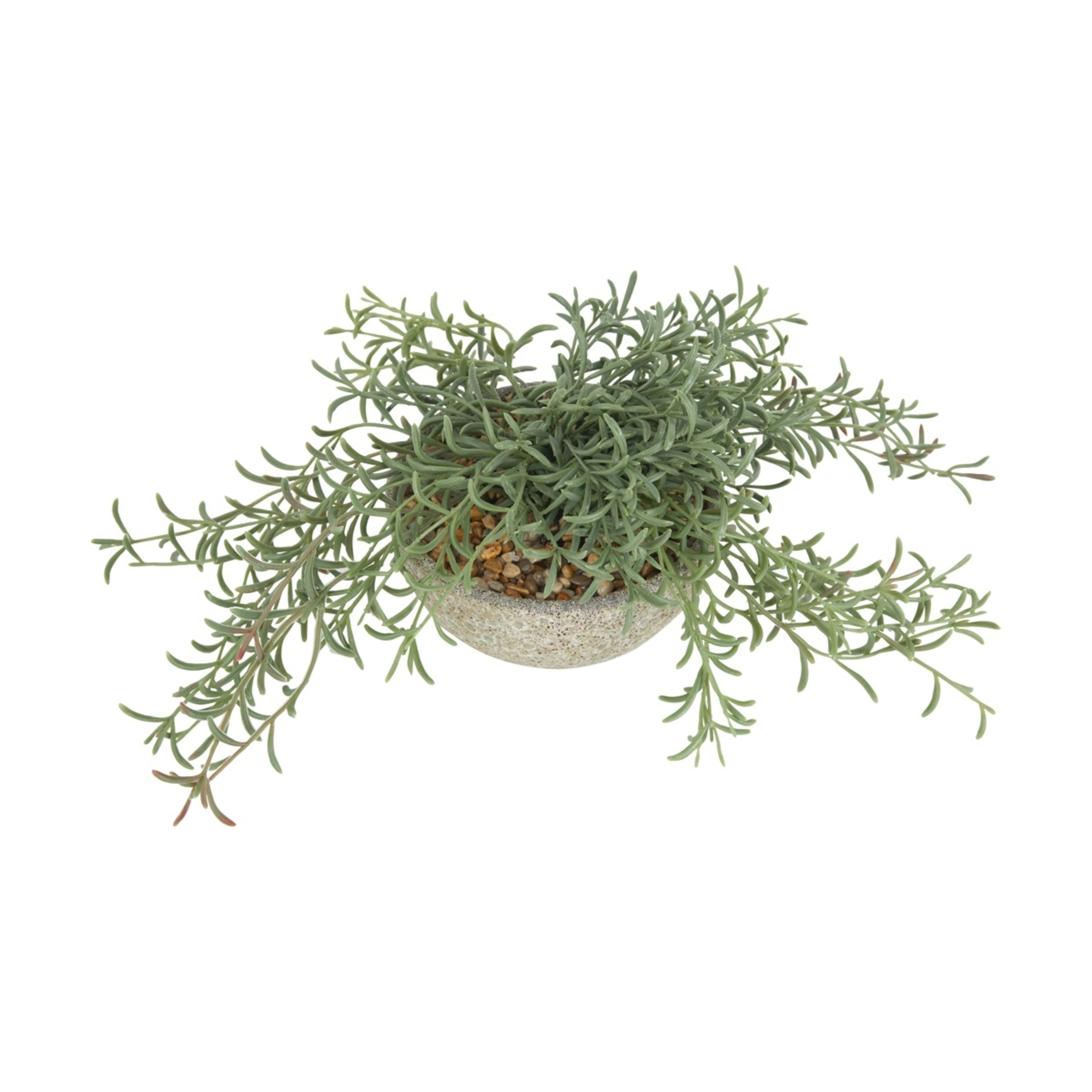 Artificial Tabletop Plant - Kmart