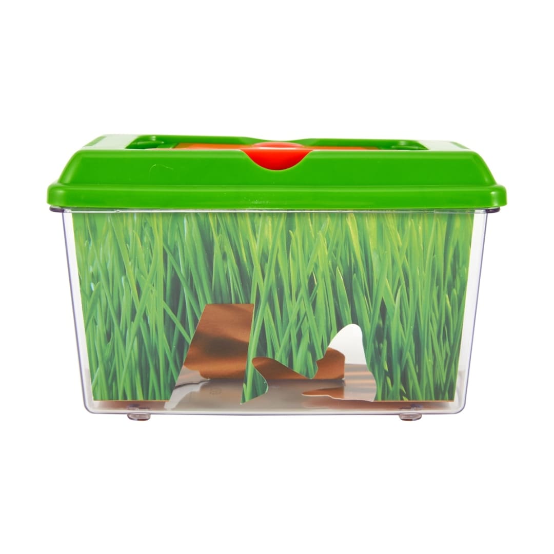 Bug Explorer Activity Set - Kmart NZ