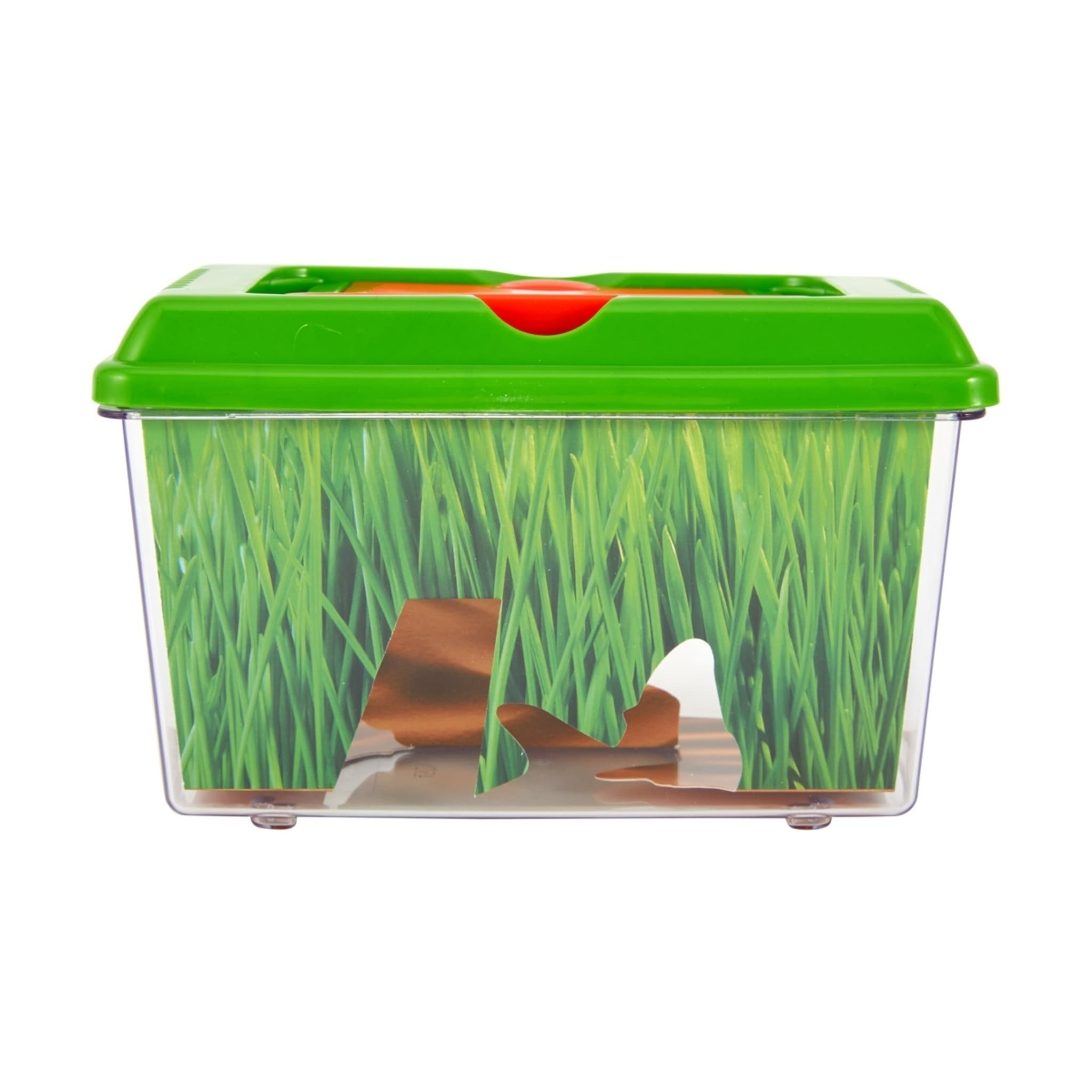 Bug Explorer Activity Set - Kmart