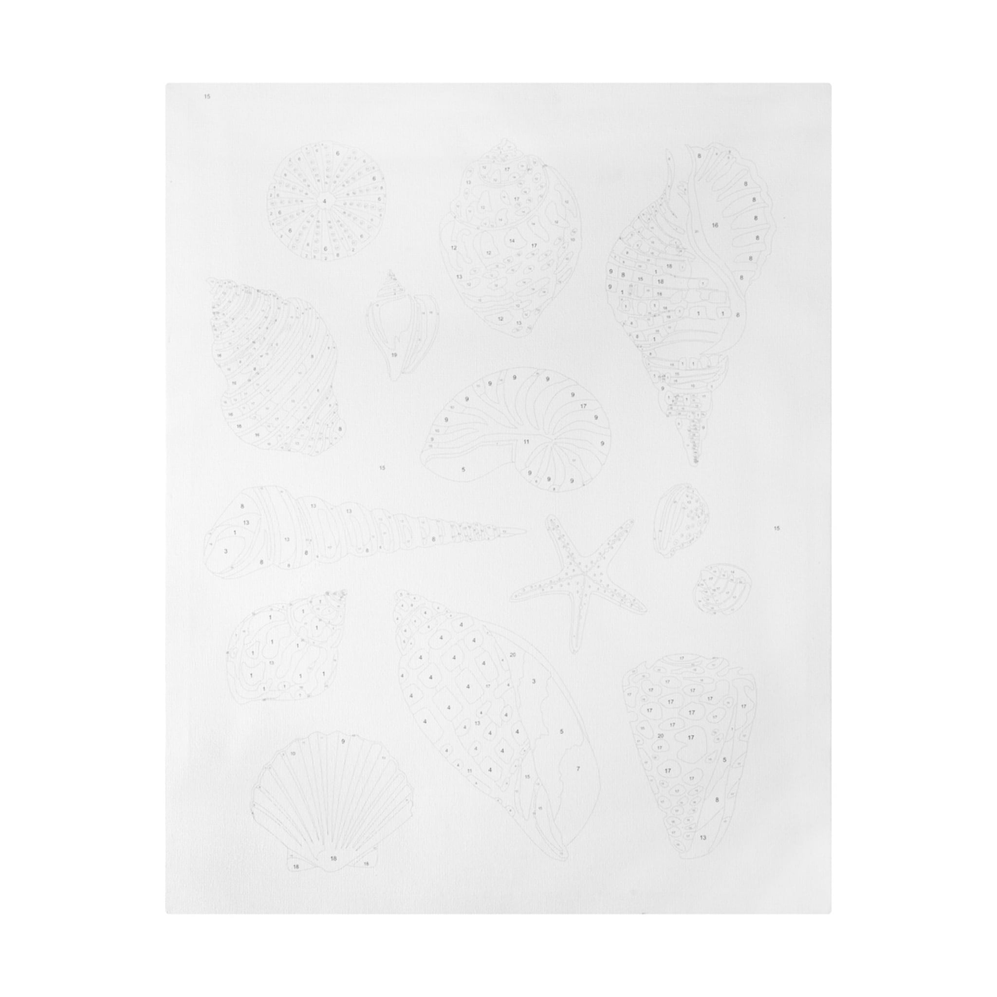 Paint By Numbers - Shell - Kmart