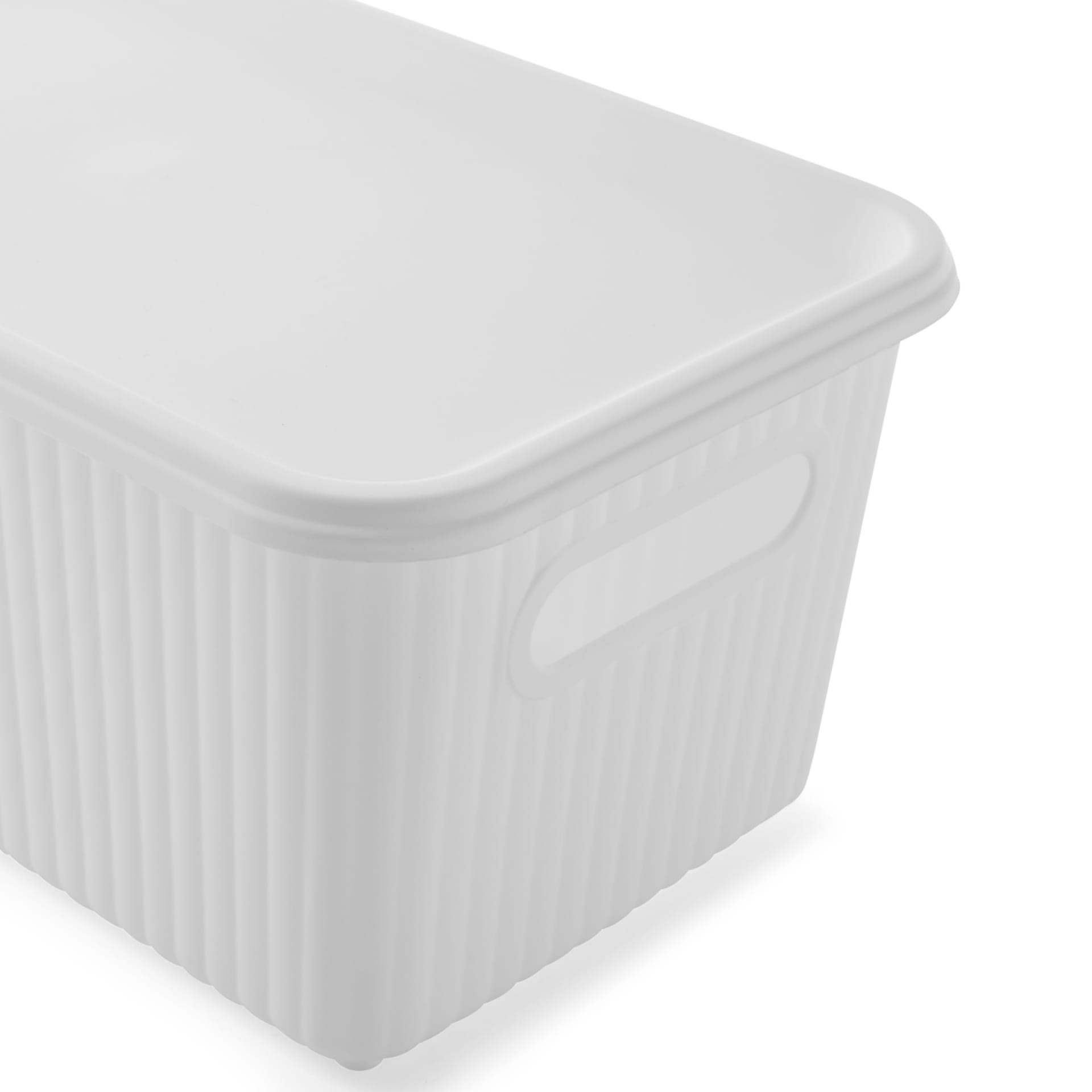 5L Ribbed Container - Kmart NZ