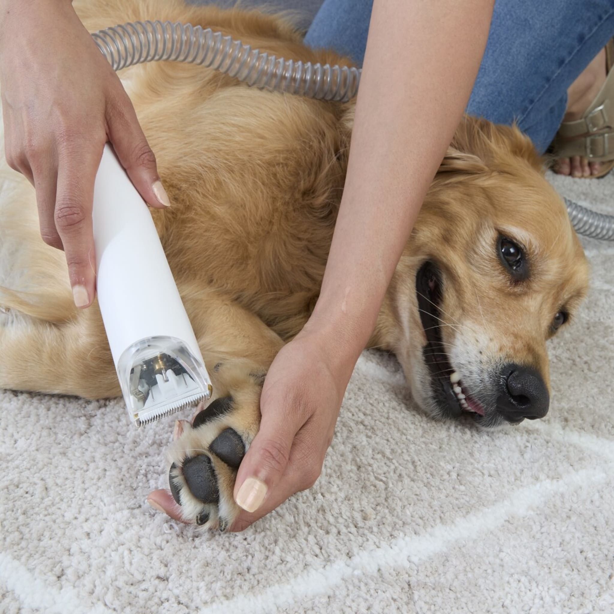 Pet Vacuum and Grooming Kit - Kmart