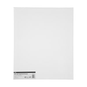 20in. x 24in. Stretch Canvas - Kmart