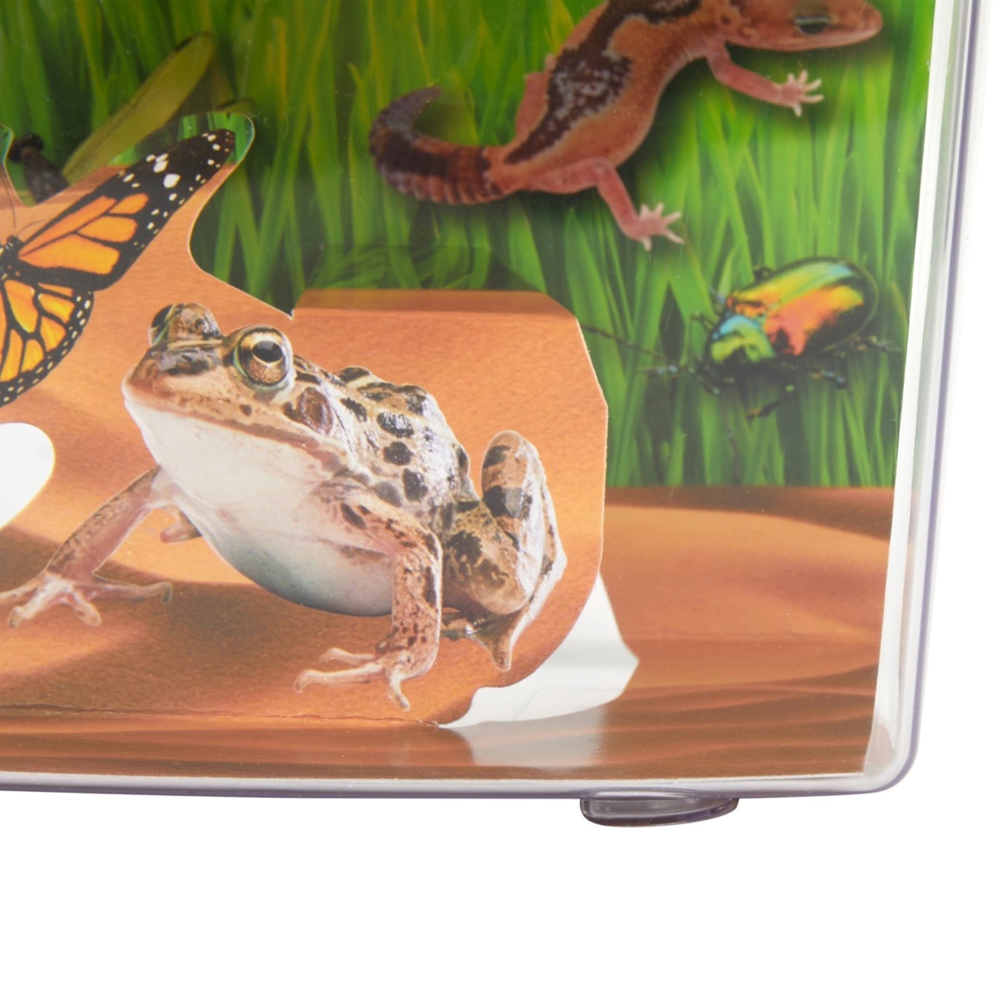 Bug Explorer Activity Set - Kmart