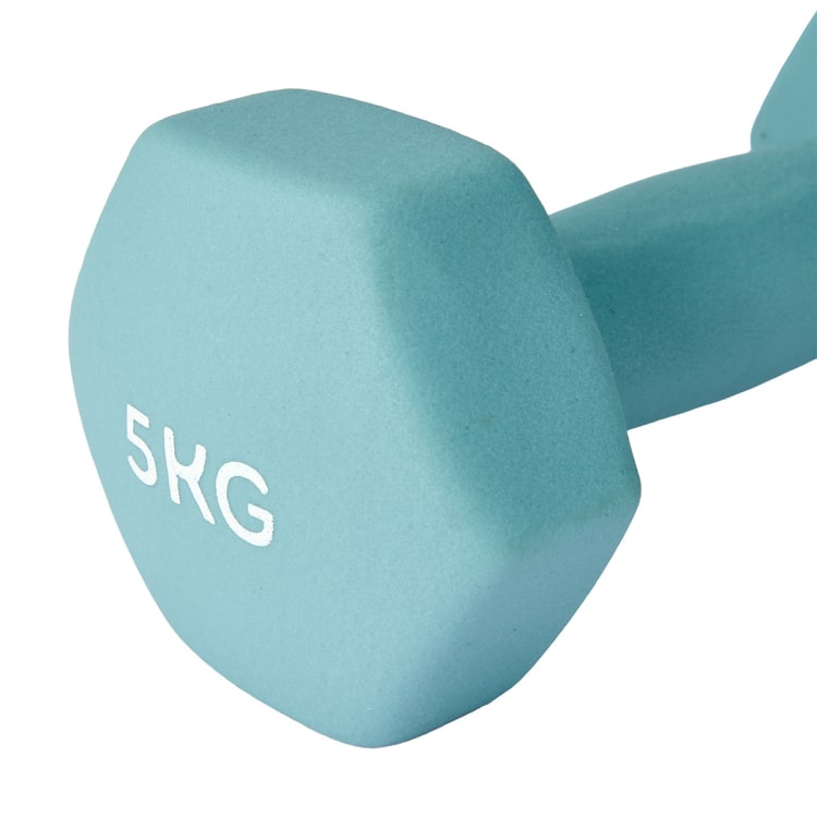 5kg Dumbbell - Assorted - Kmart
