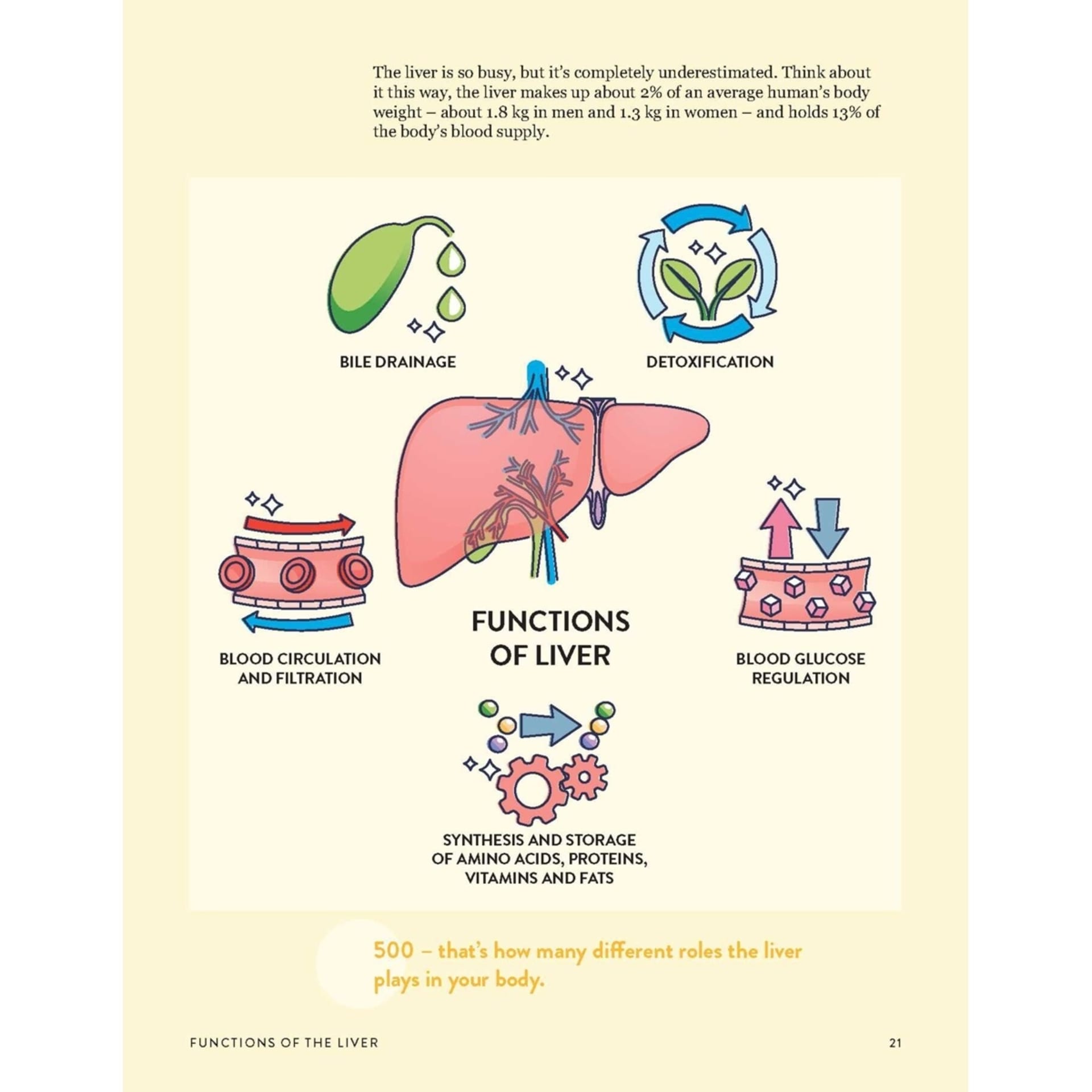 The Liver Repair Plan by Sarah Di Lorenzo - Book - Kmart