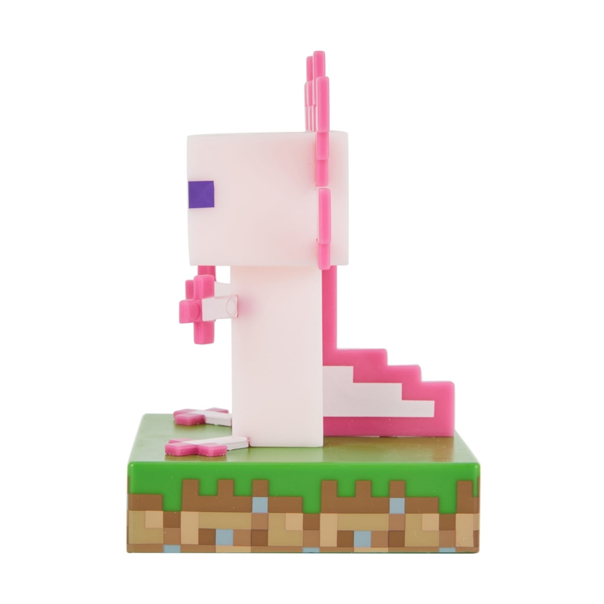 Minecraft Axolotl Icons Light - Kmart
