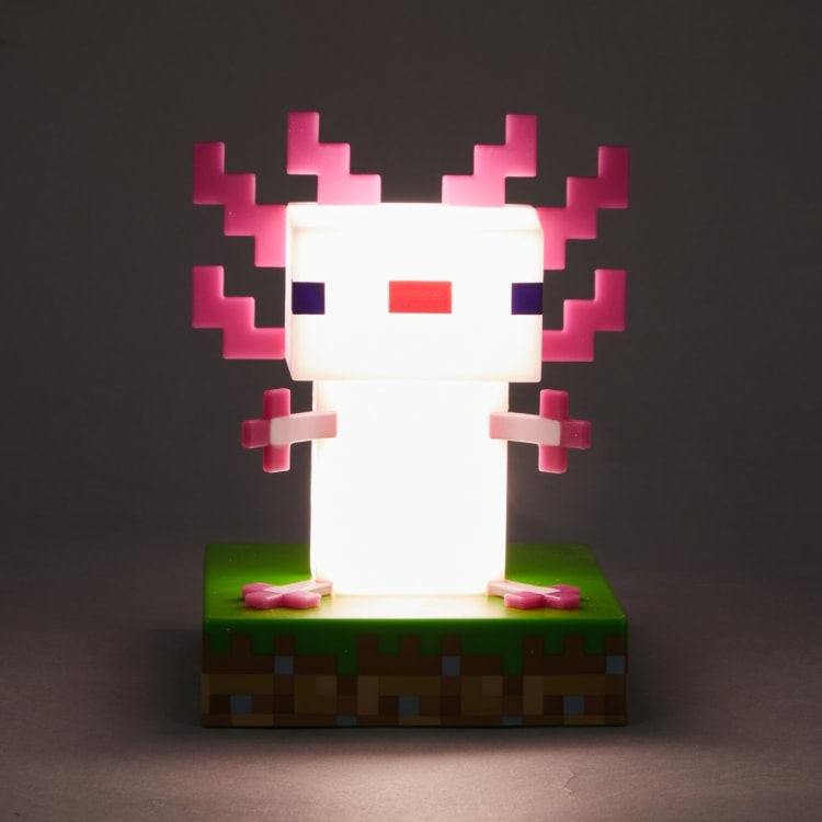Minecraft Axolotl Icons Light - Kmart