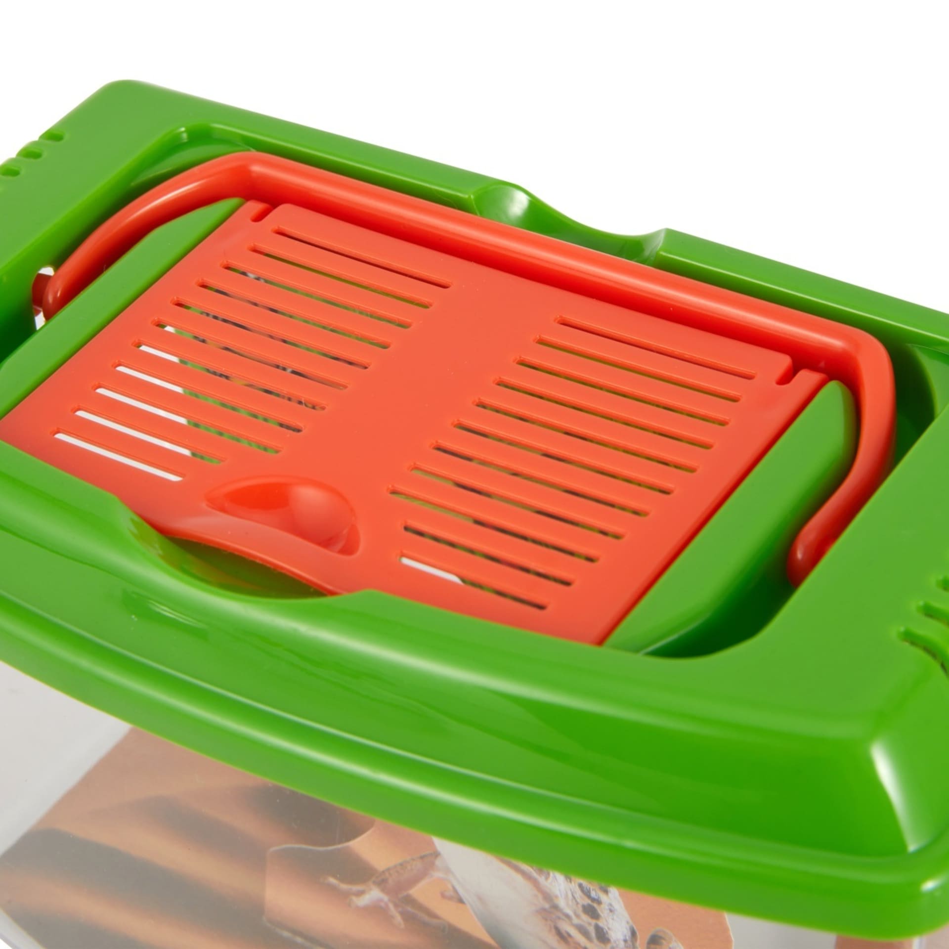 Bug Explorer Activity Set - Kmart