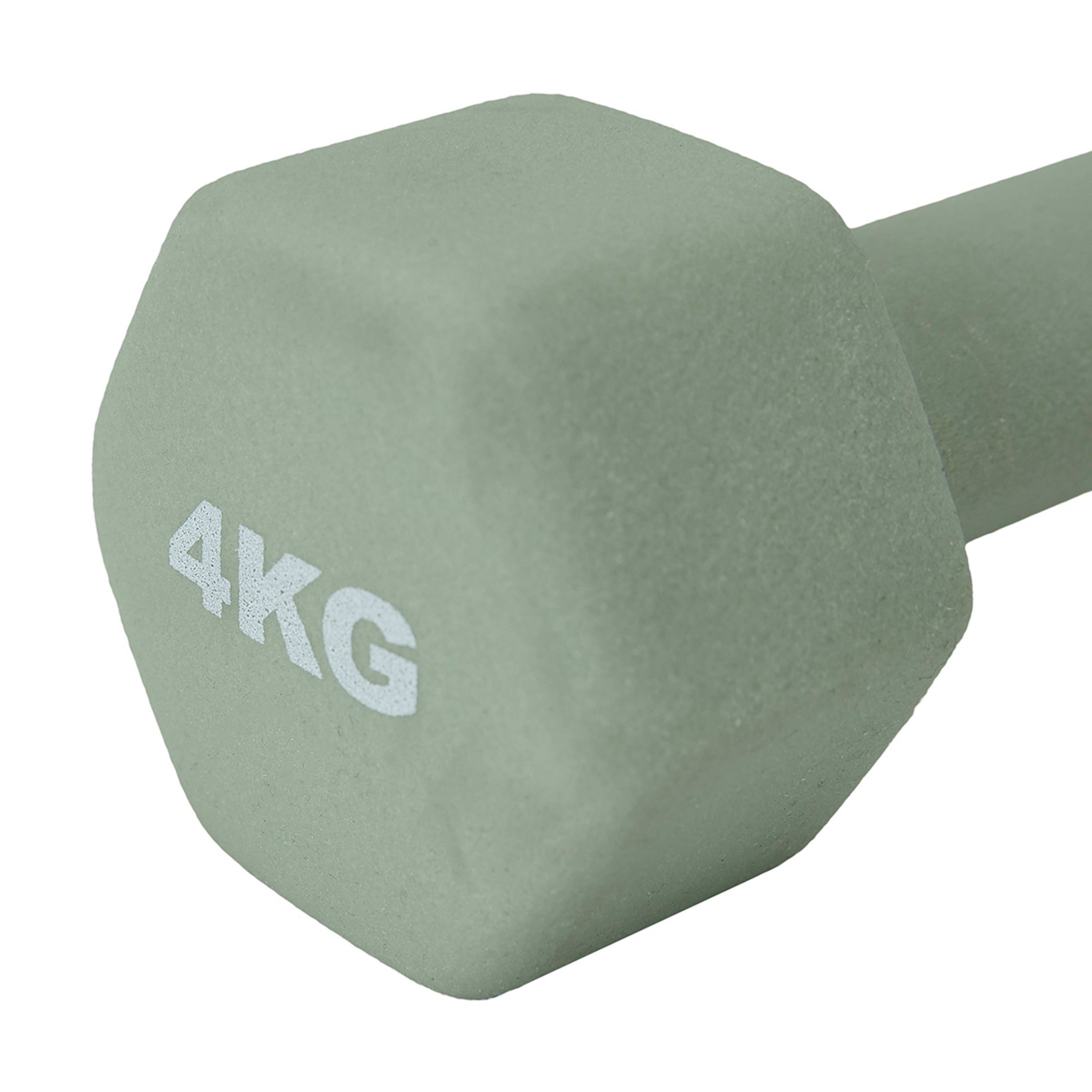 4kg Dumbbell - Kmart