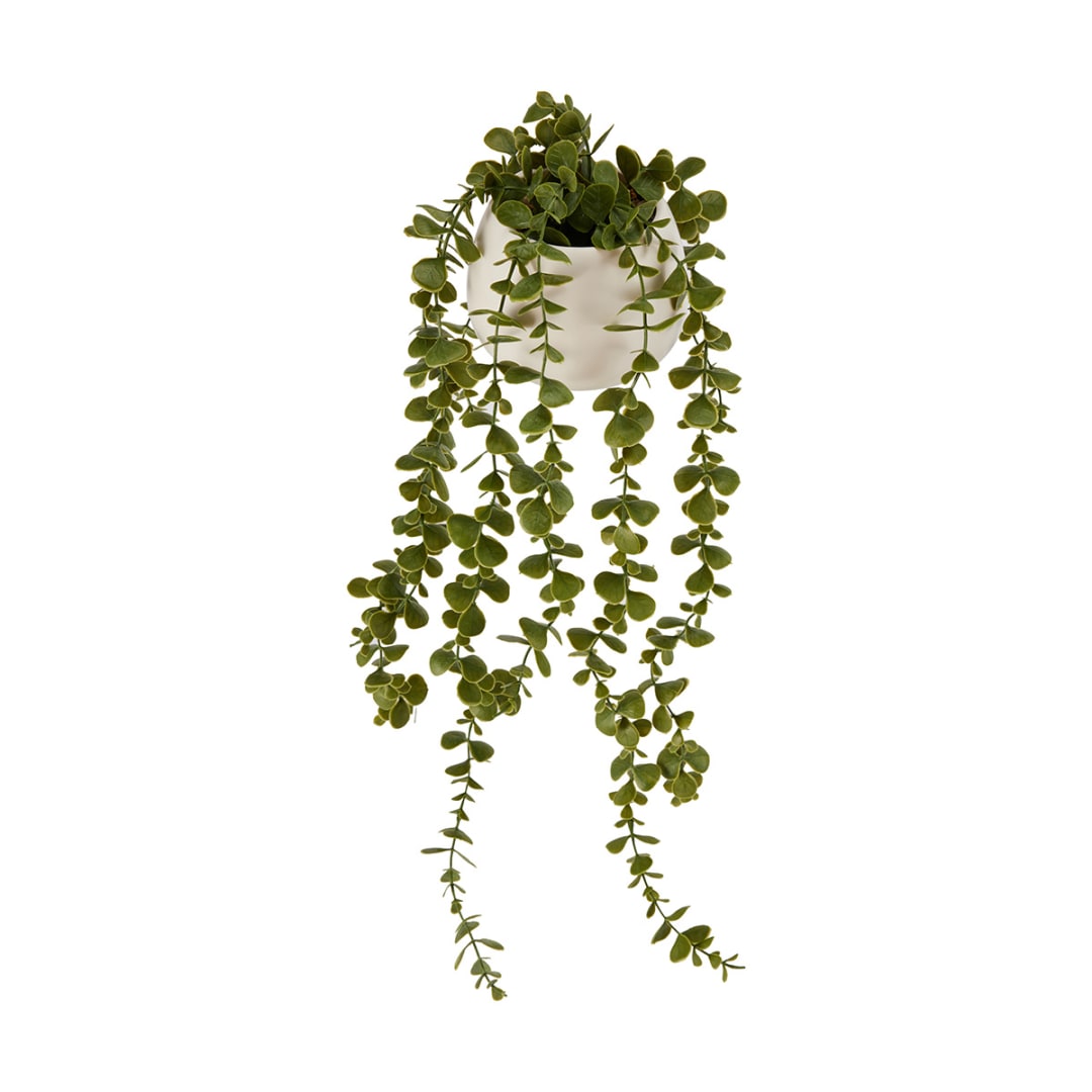 Artificial Trailing Plant in Pot - Kmart