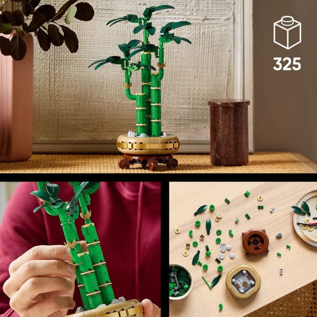 LEGO Botanicals Lucky Bamboo 10344 - Kmart