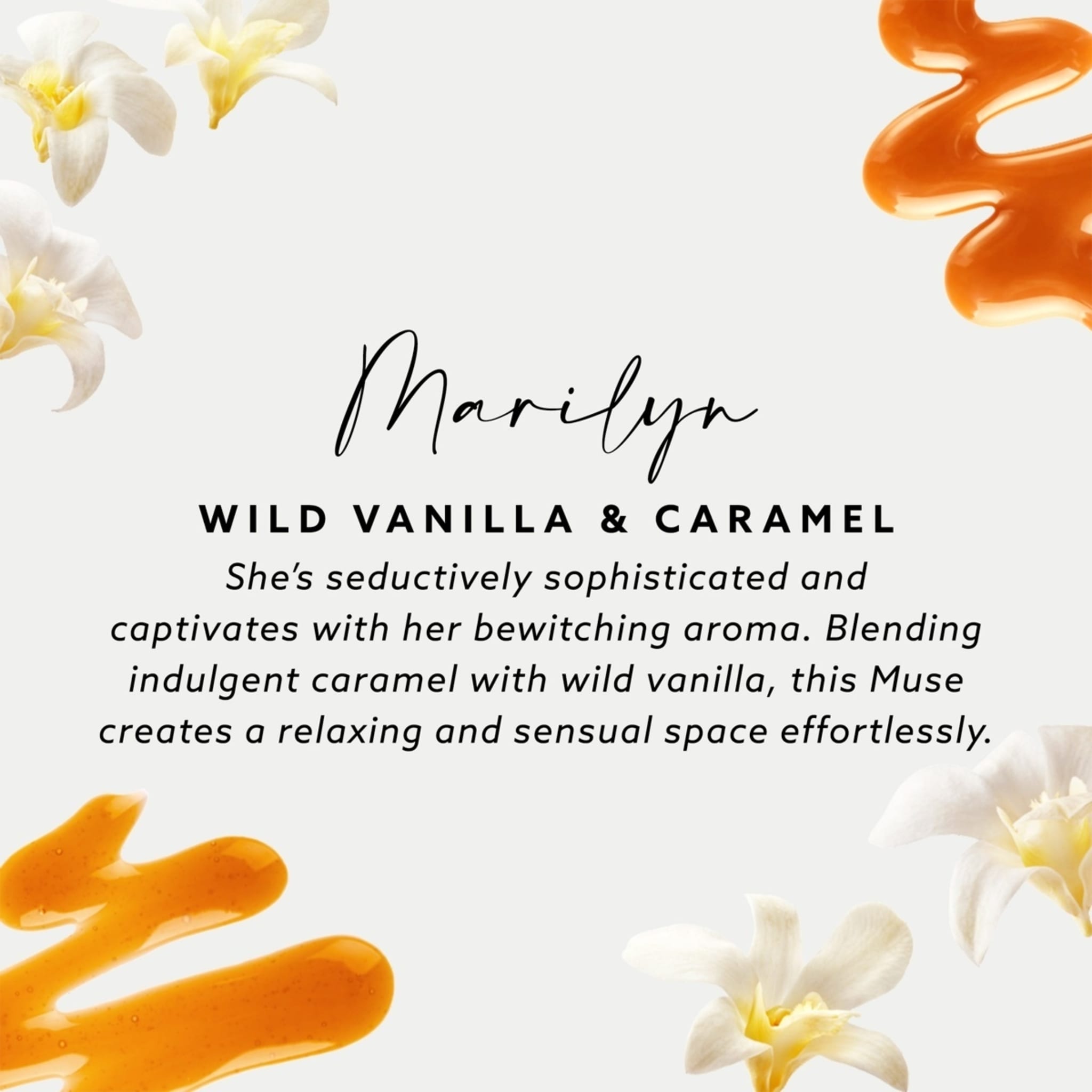 Maison and Muse Marilyn Car Air Freshener - Wild Vanilla and Caramel ...