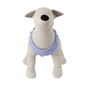 Pet Knit Harness - Medium, Blue - Kmart