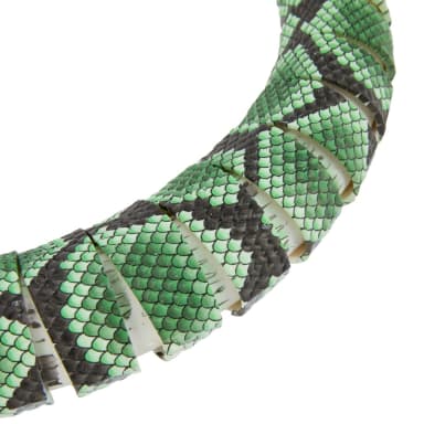 2.4GHz Remote Control Python Toy - Kmart