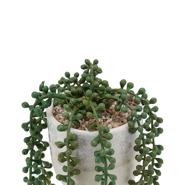 Artificial String of Pearls Plant in Pot - Kmart