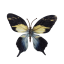 8 Pack Artificial Butterflies - Kmart