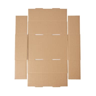 2 Pack Medium Rectangle Grazing Boxes with Lids - Kmart