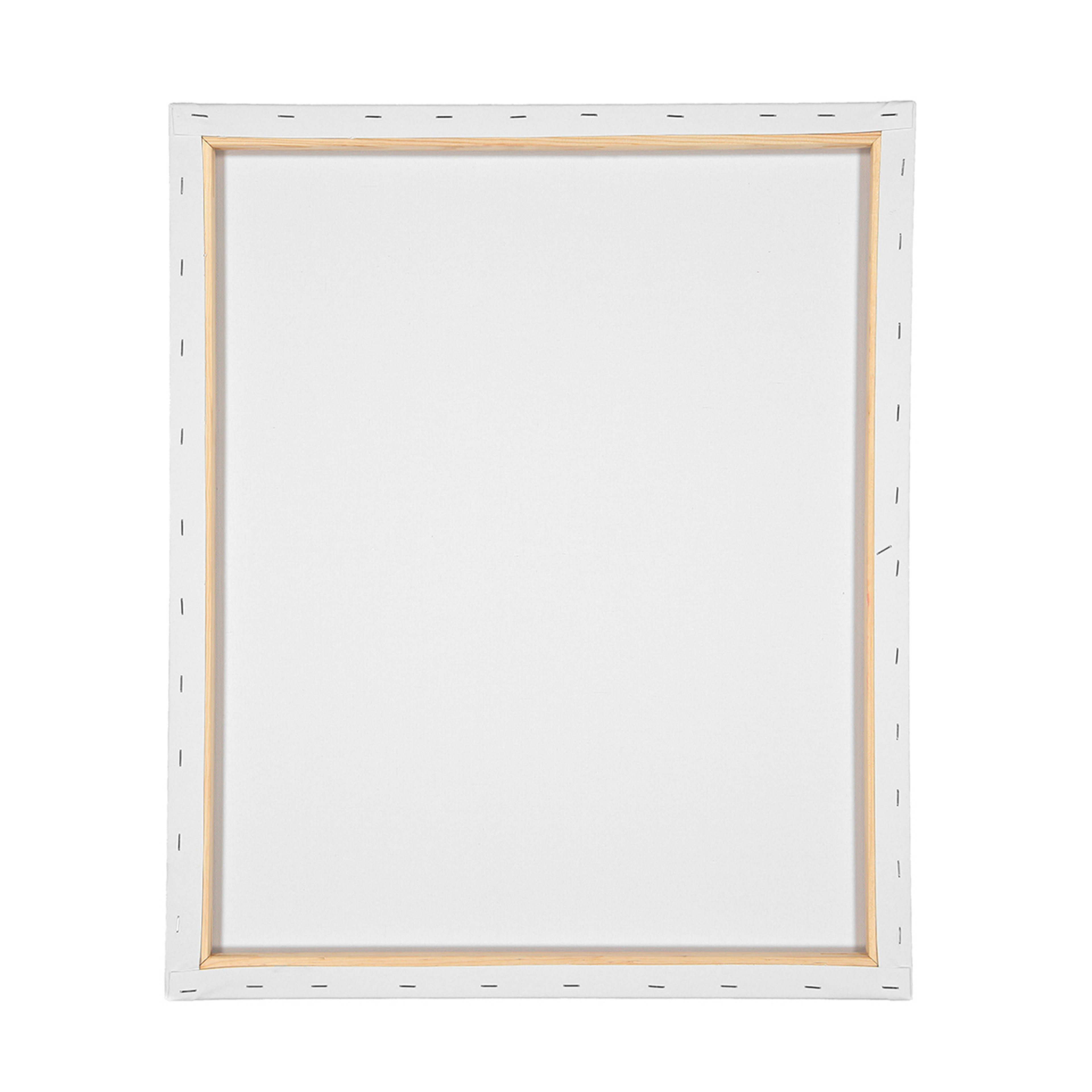 20in. x 24in. Stretch Canvas - Kmart
