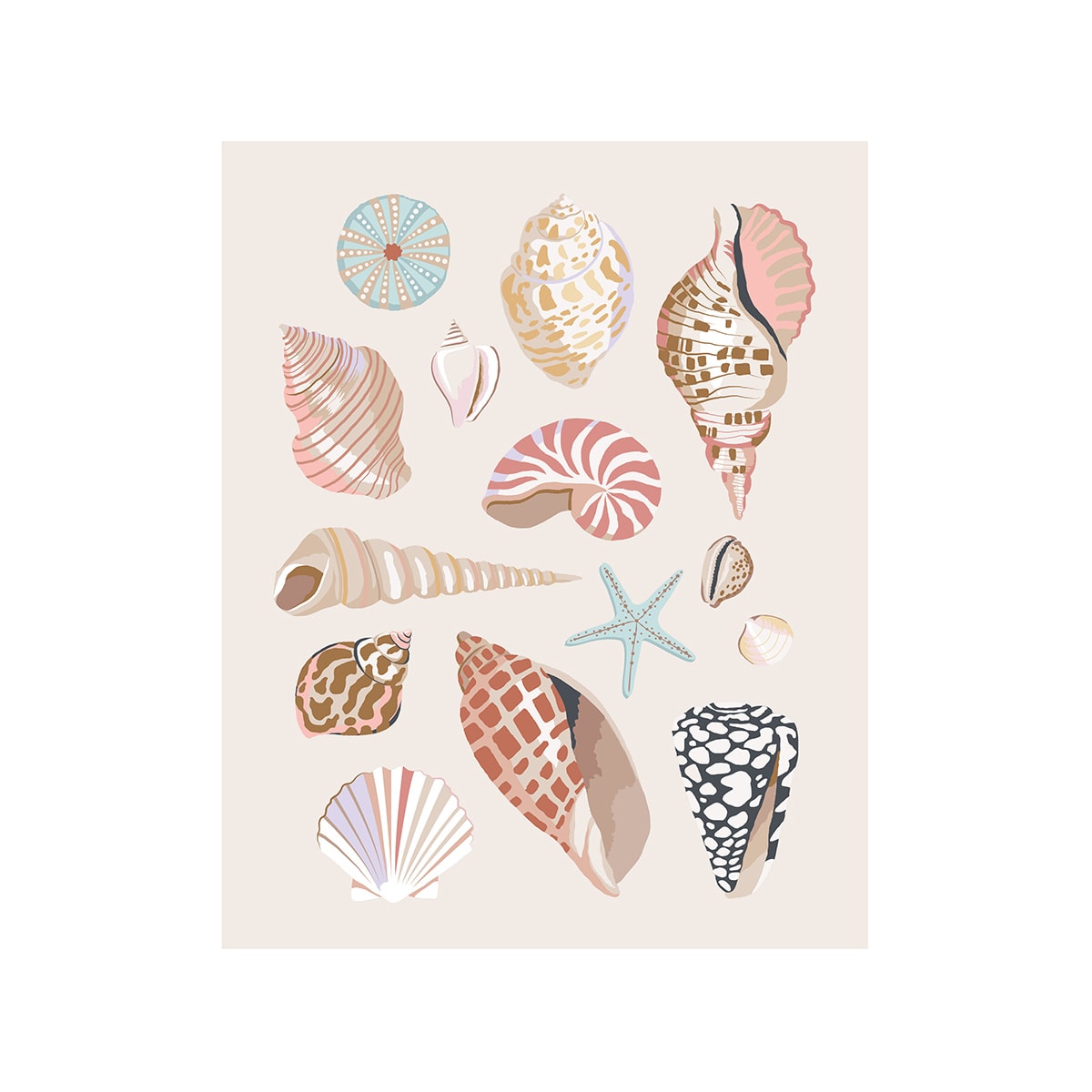 Paint By Numbers - Shell - Kmart