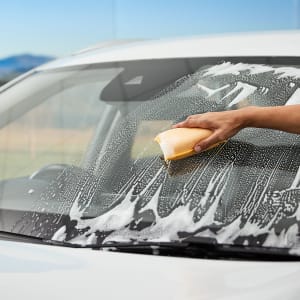 Windshield Sponge - Kmart