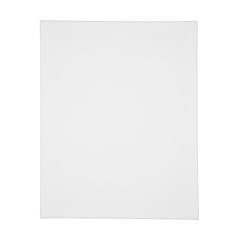 16in. x 20in. Stretch Canvas - Kmart