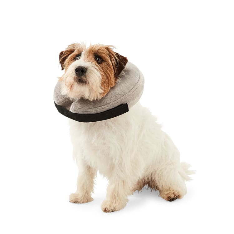 Inflatable Collar - Small to Medium - Kmart