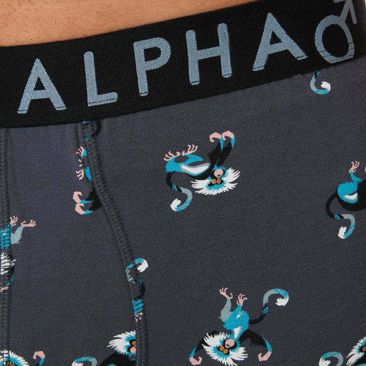 3 Pack Fly Front Print Trunks - Kmart