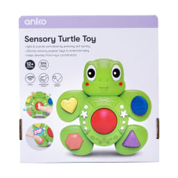 Sensory Turtle Toy - Kmart