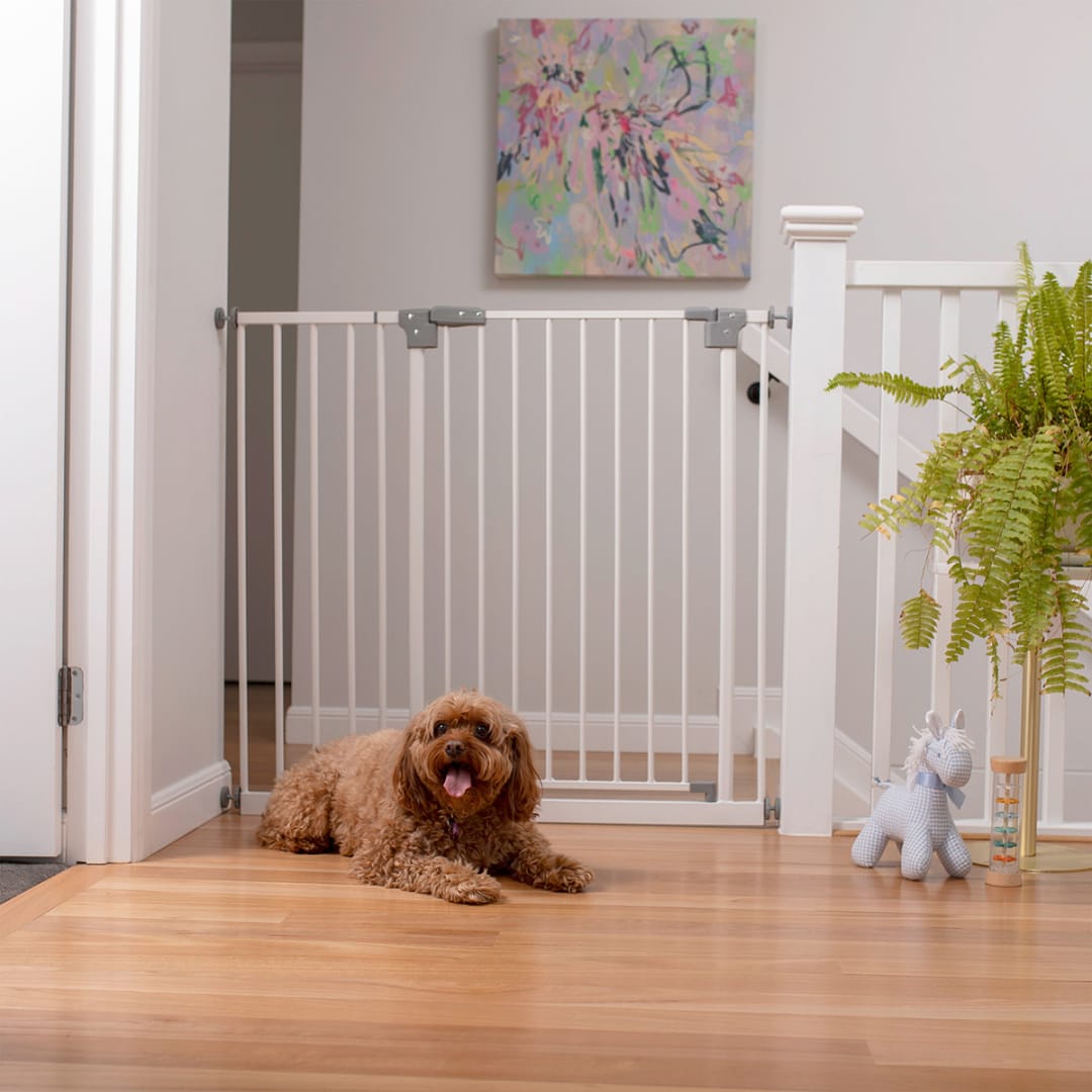 Tall and Wide Metal Gate with Extensions - Kmart