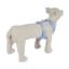 Pet Knit Harness - Medium, Blue - Kmart