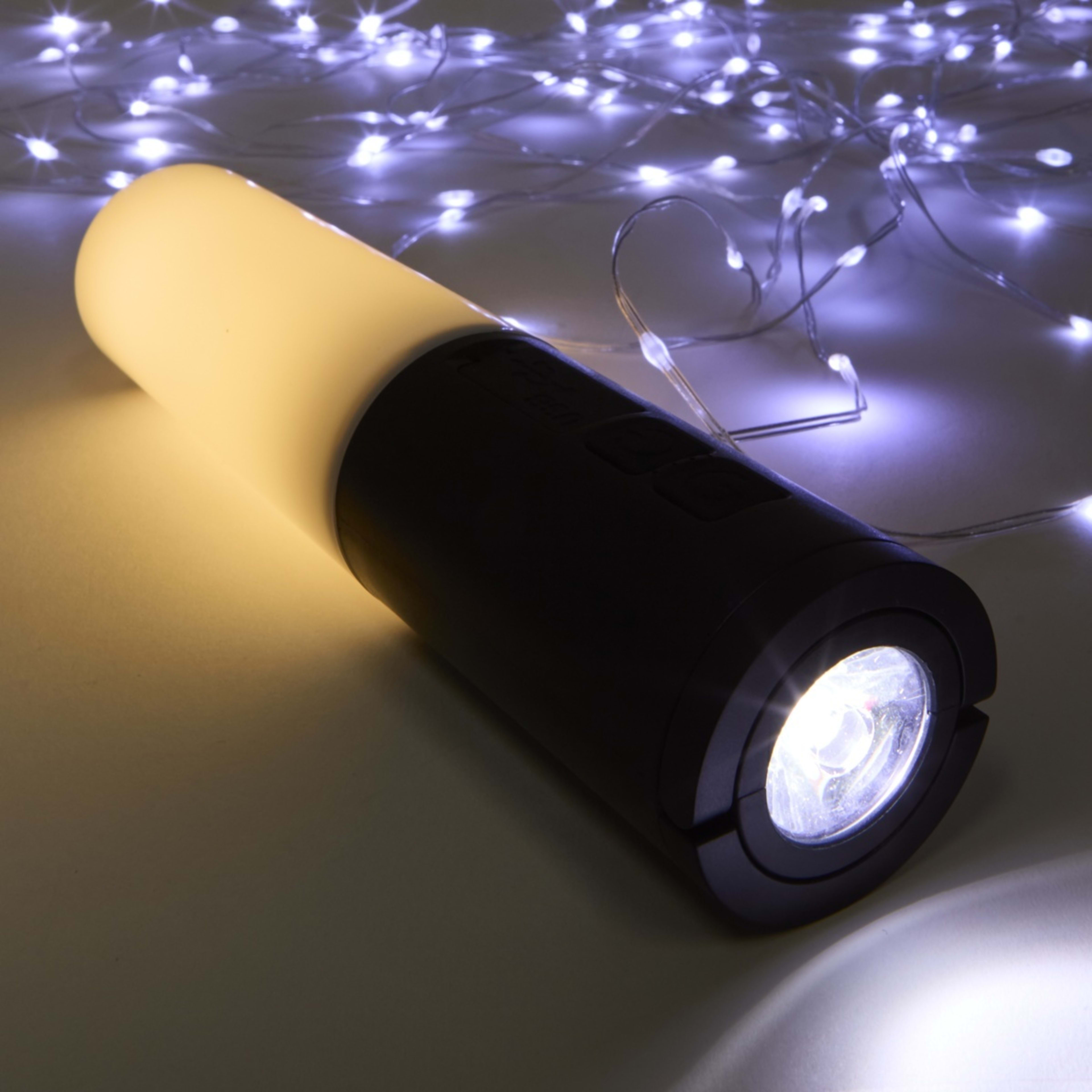 Torch and String Lights - Kmart