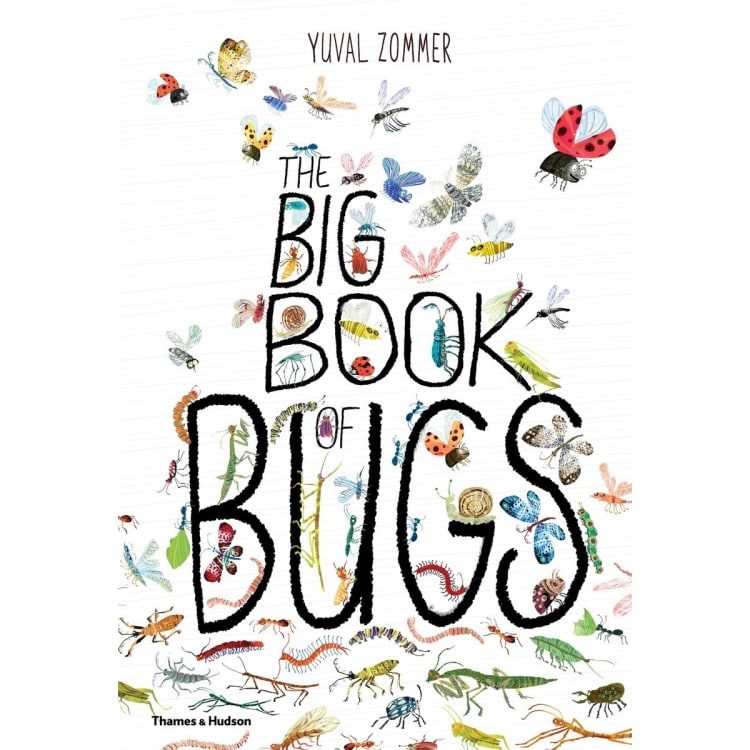The Big Book of Bugs by Yuval Zommer - Book - Kmart