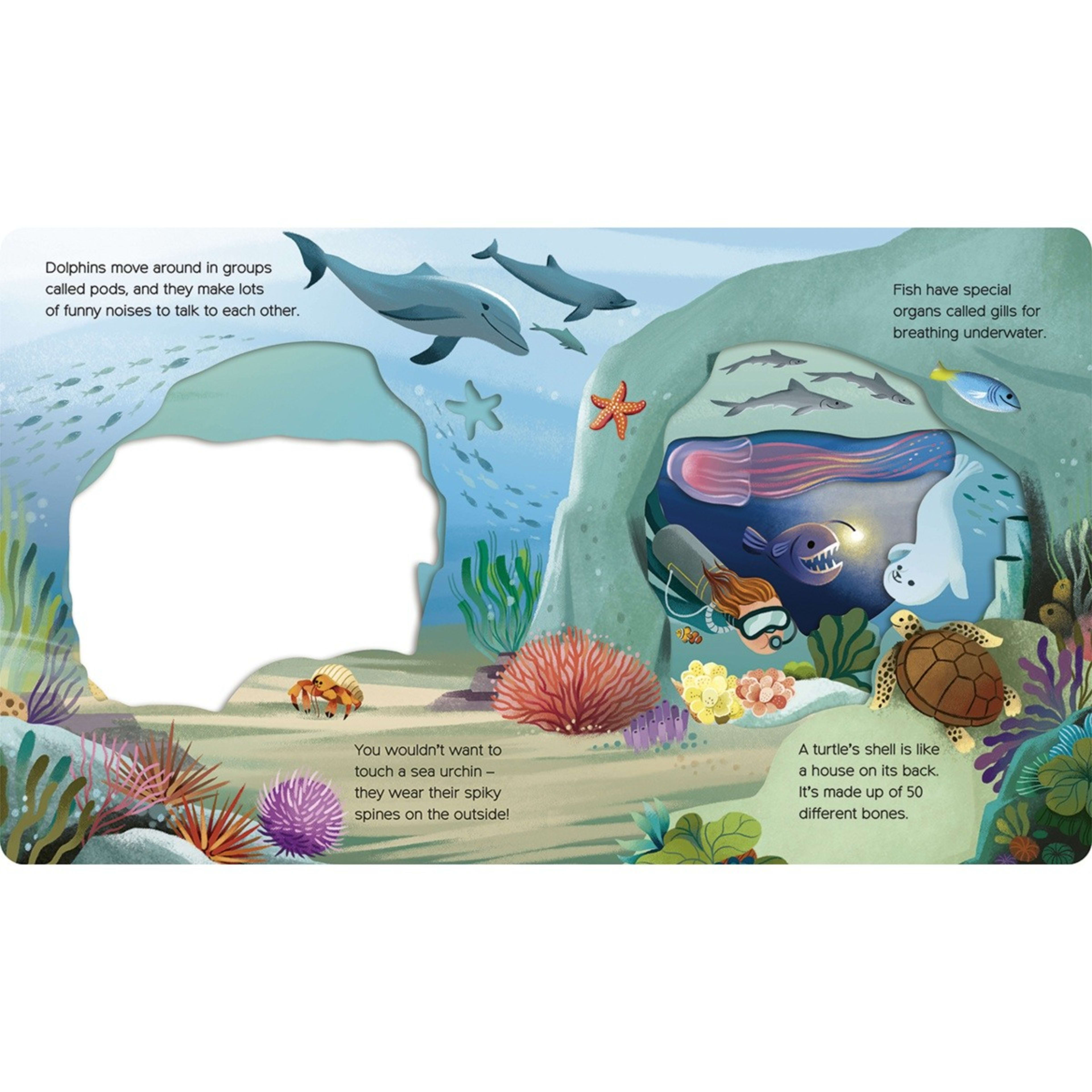 What Can You See Under the Sea? - Book - Kmart