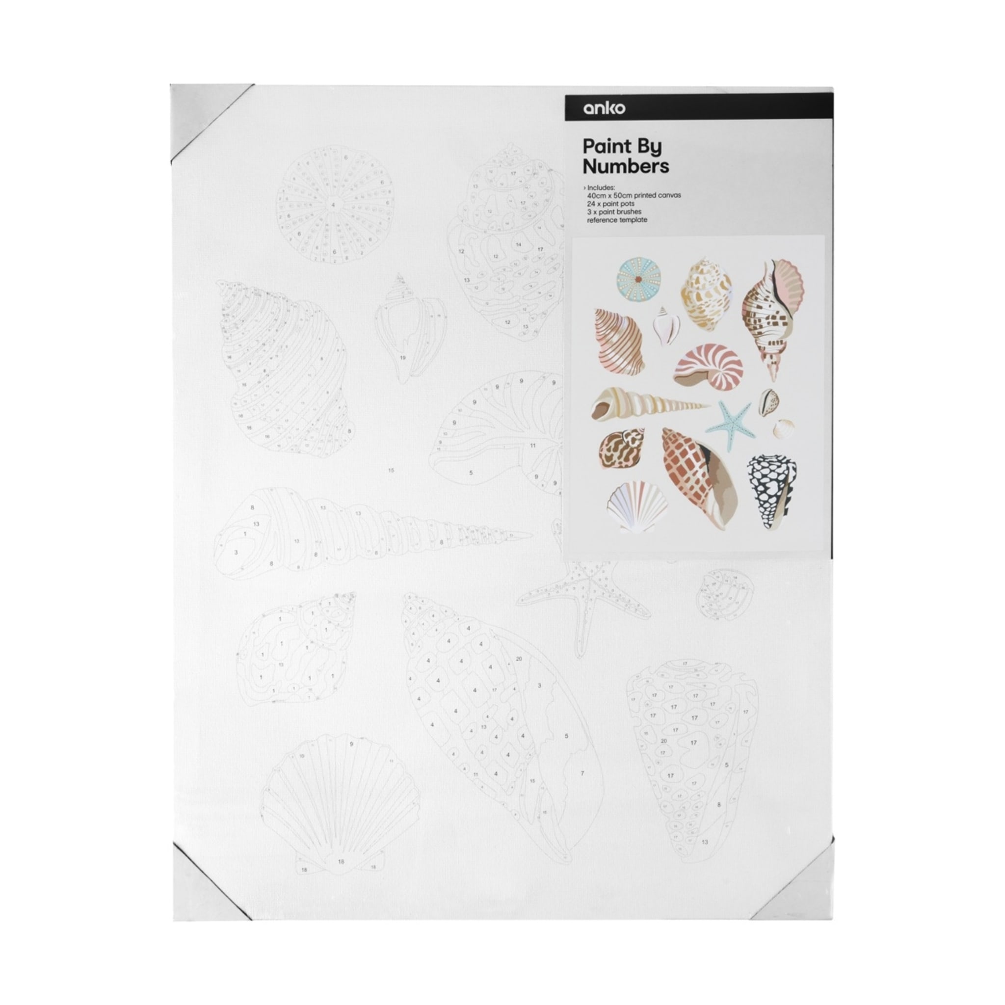 Paint By Numbers - Shell - Kmart