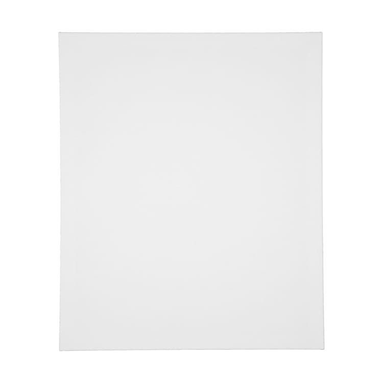 20in. x 24in. Stretch Canvas - Kmart