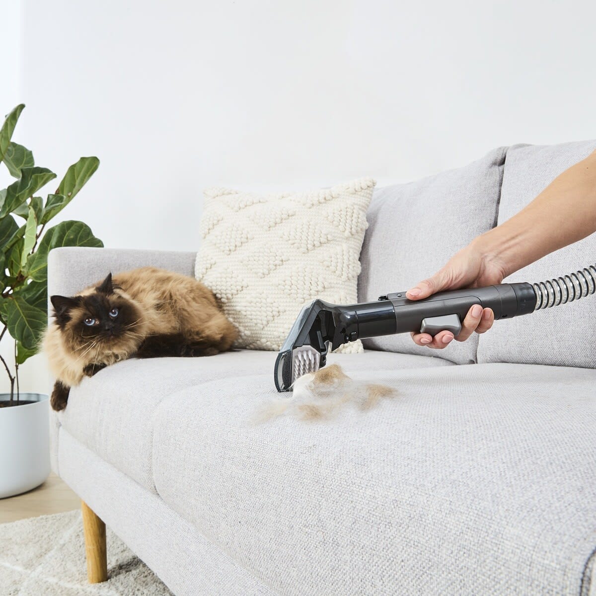 Multi-Purpose Spot Cleaner - Kmart