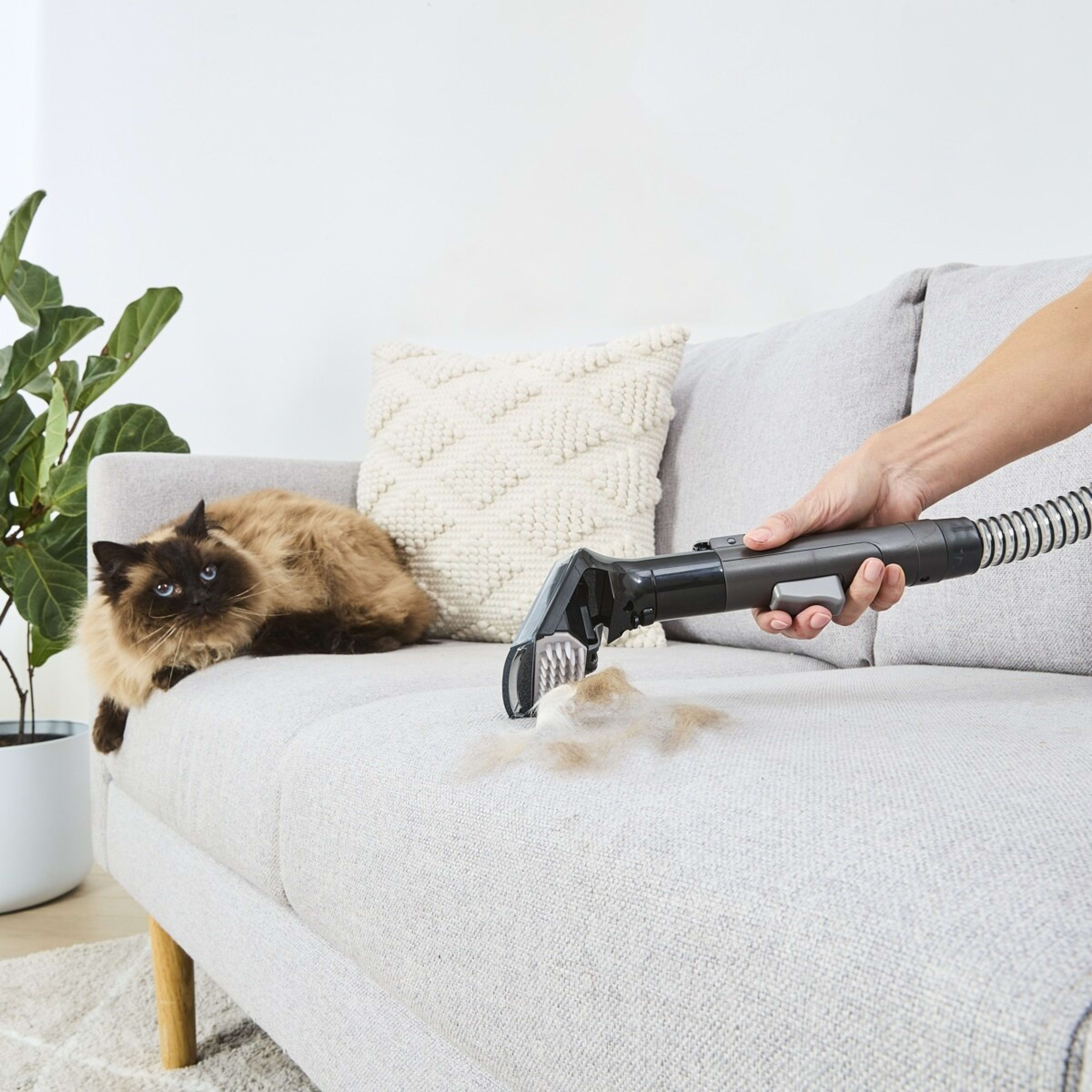 Multi-Purpose Spot Cleaner - Kmart