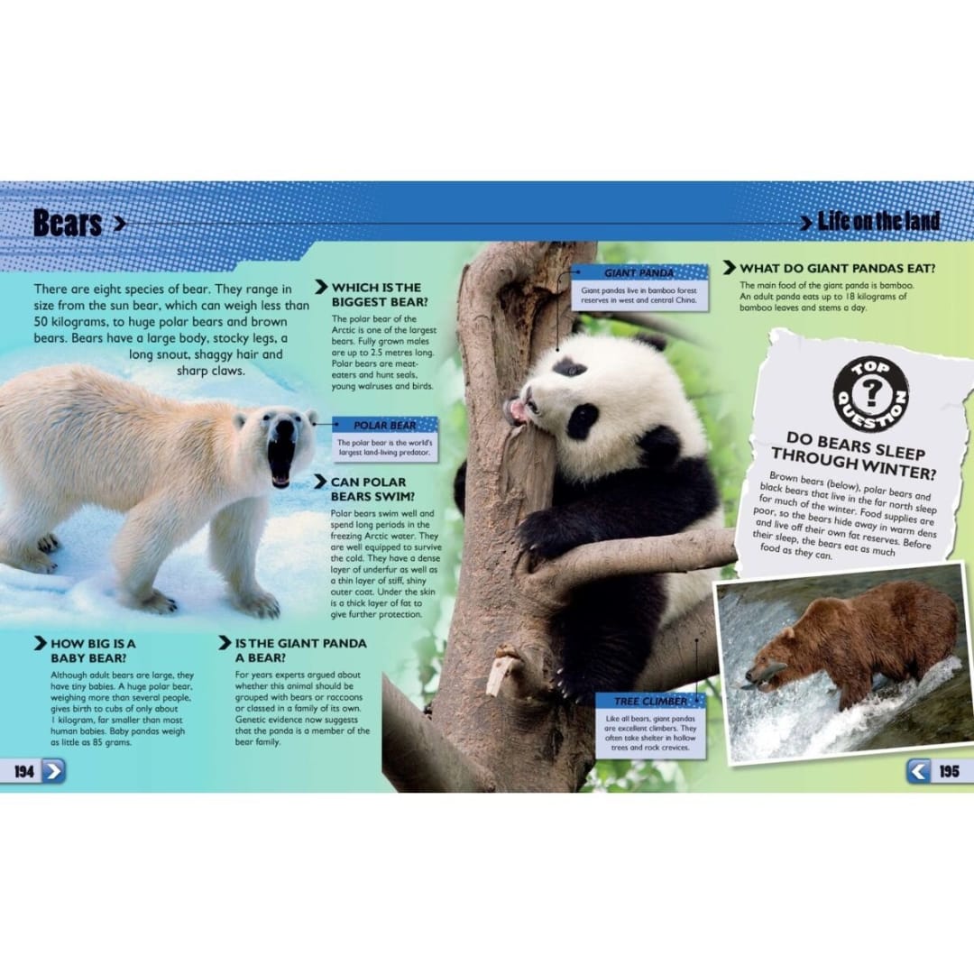 1001 Questions and Answers About Absolutely Everything - Book - Kmart NZ