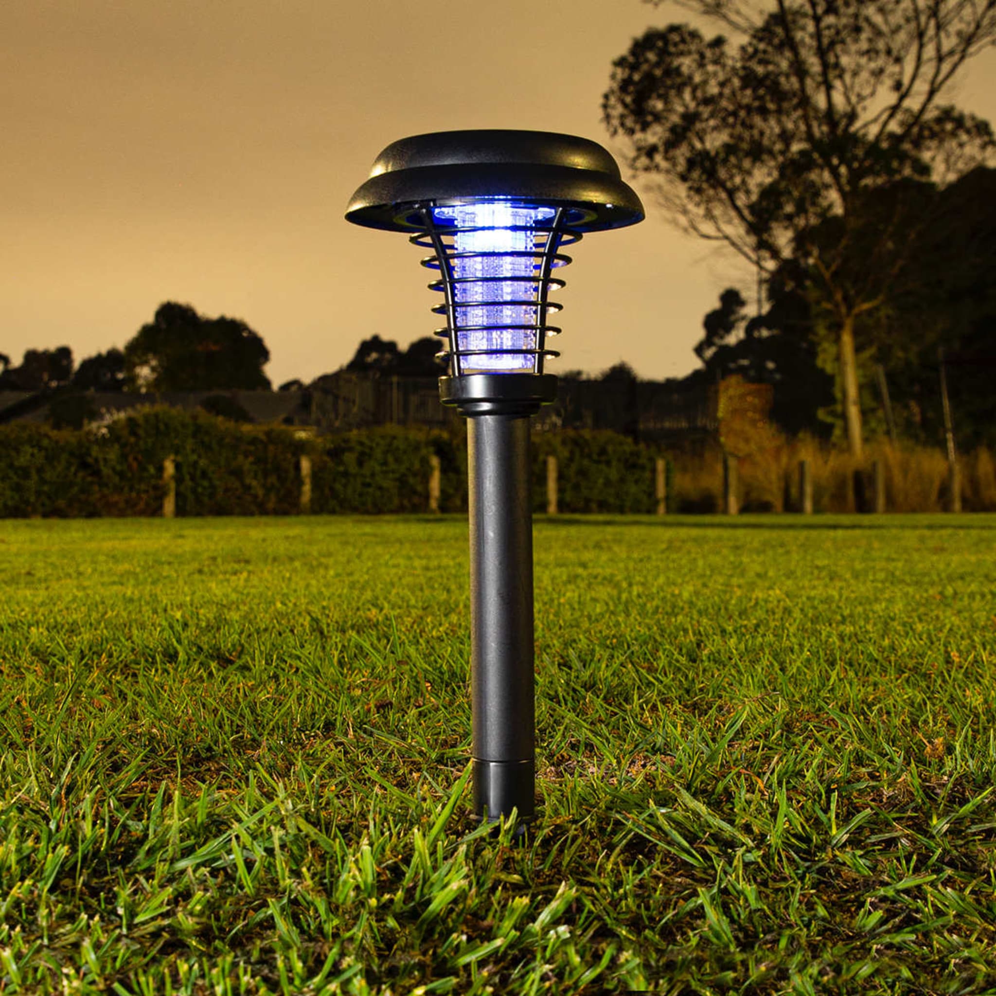 Mosquito Solar Lamp - Kmart
