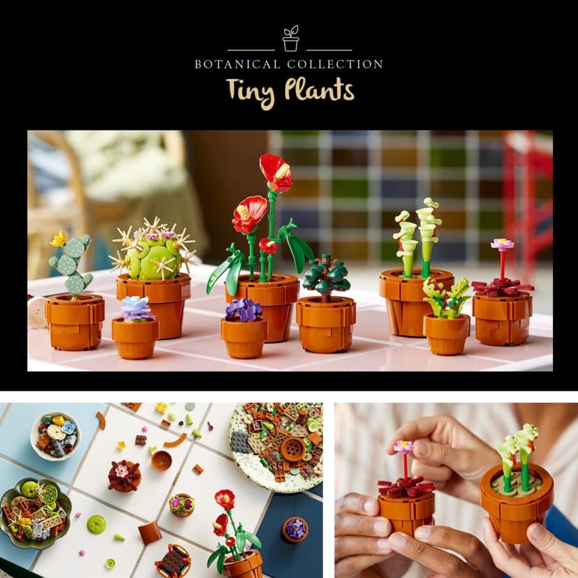 LEGO Icons Tiny Plants 10329 - Kmart NZ