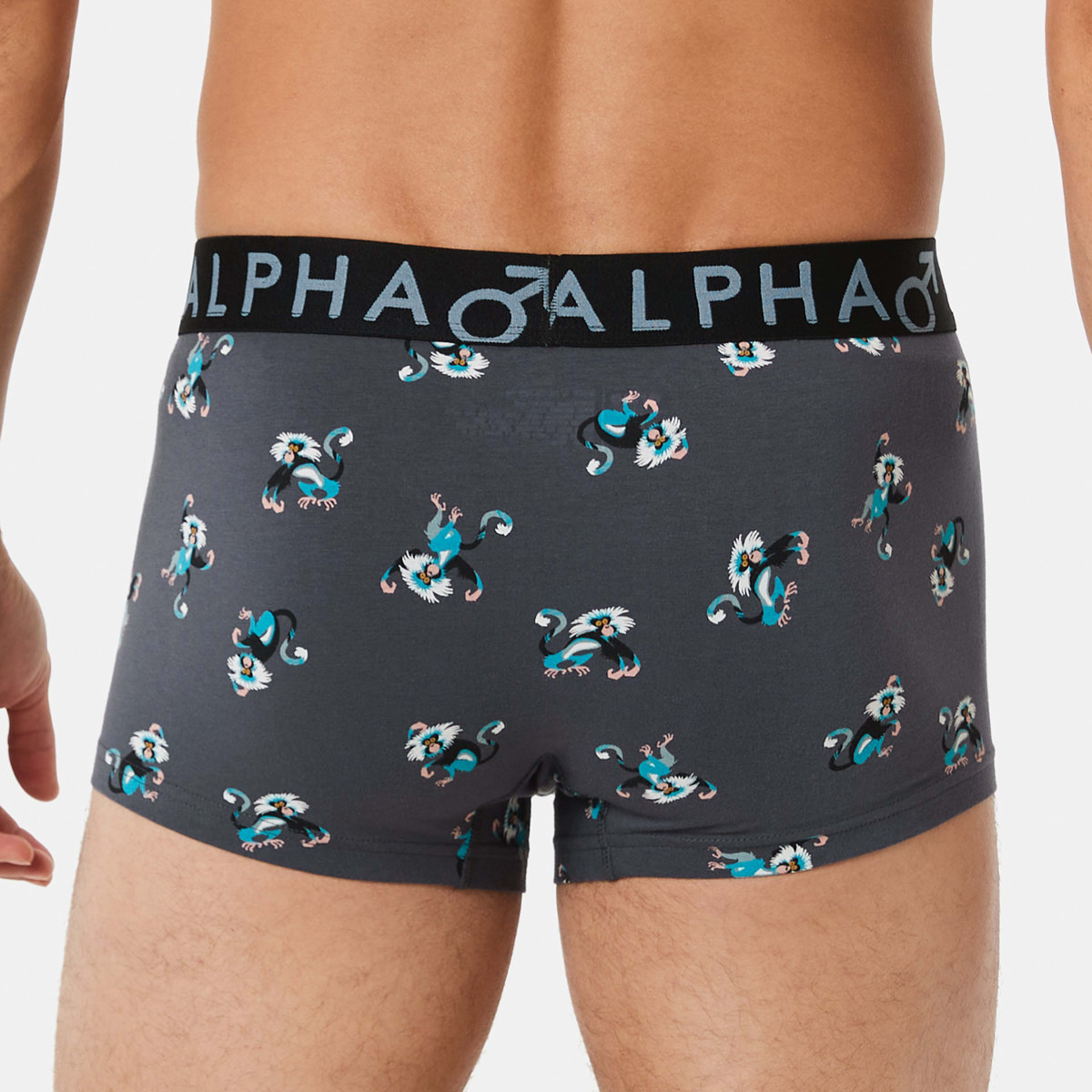 3 Pack Fly Front Print Trunks - Kmart