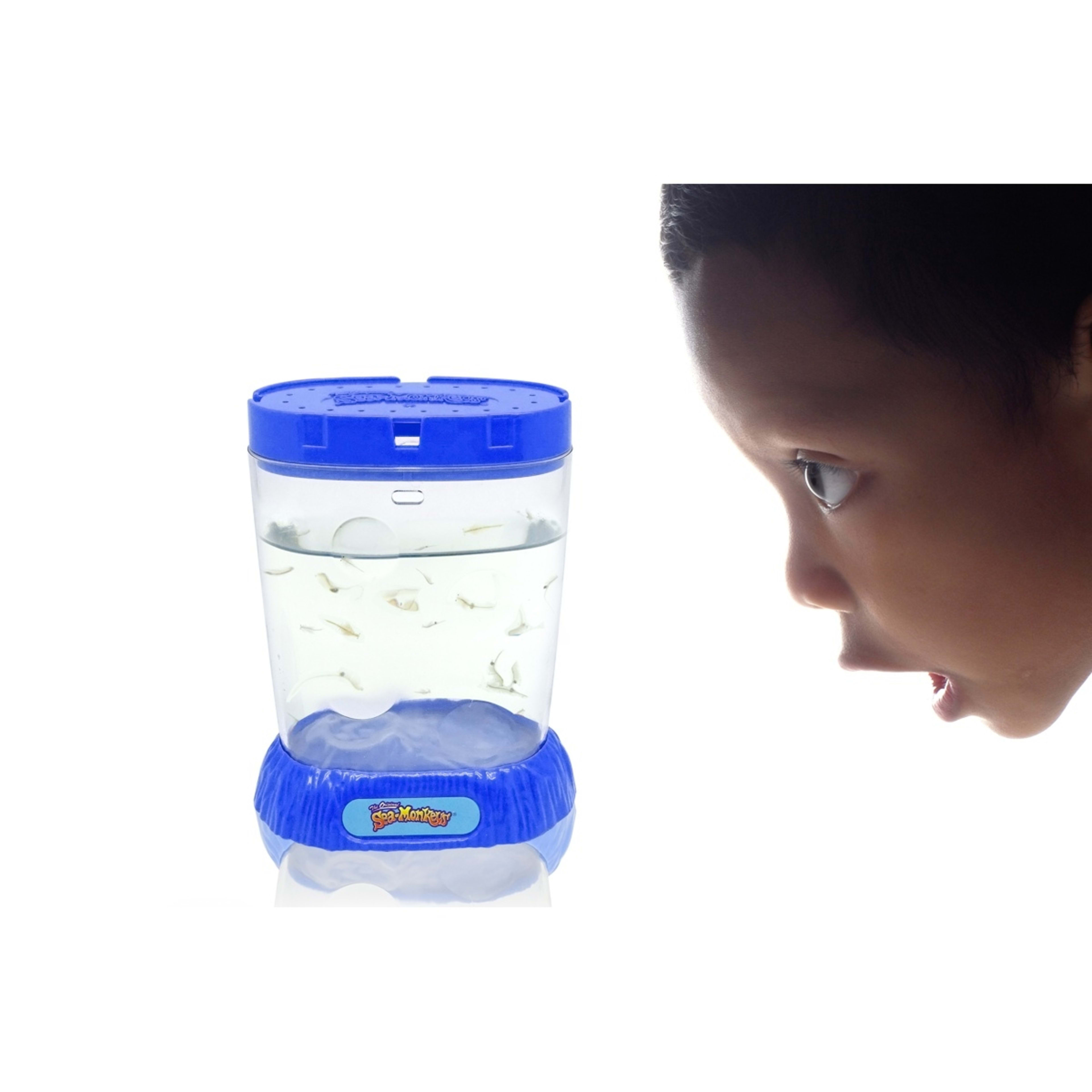 Sea Monkeys Ocean Zoo Playset - Assorted - Kmart