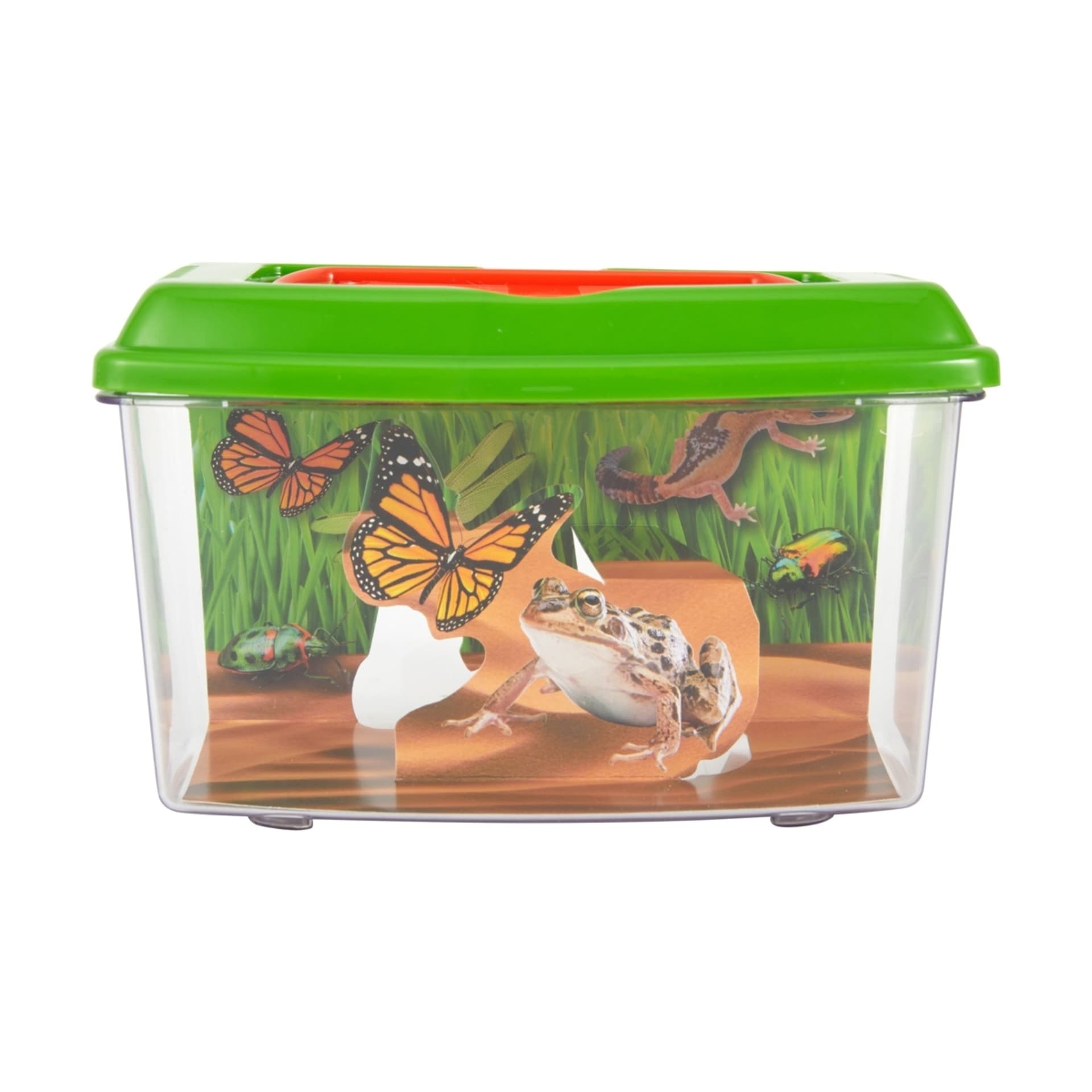 Bug Explorer Activity Set - Kmart