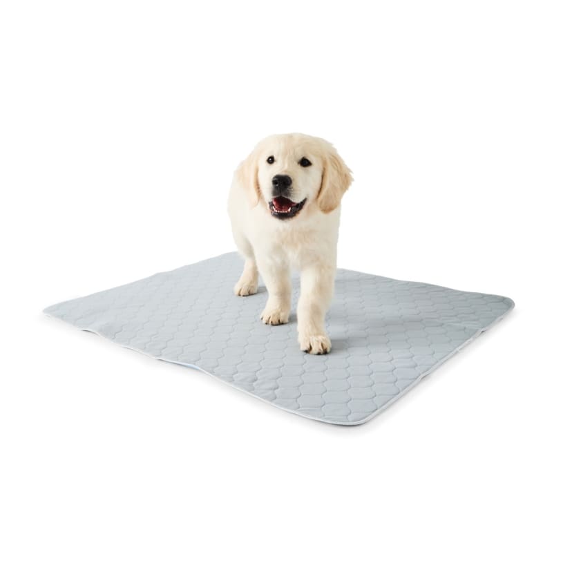 Puppy Pad Reusable 2 Pack - Kmart