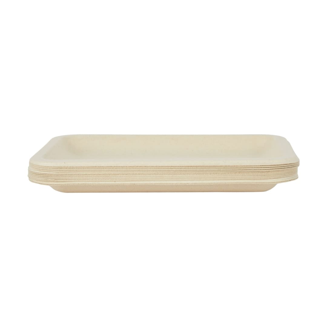 12 Piece Sugarcane Pulp Rectangle Plates - Kmart